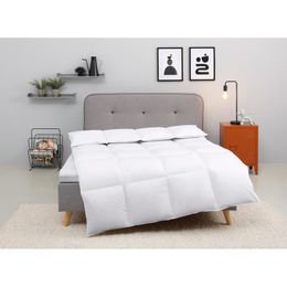 OTTO home Daunenbettdecke &raquo;Covino, Bettdecke 135x200 cm, 155x220 cm&laquo; warm F&uuml;llung 60% Daunen & 40% Federn 1 Stk. tlg. Bettdecke Sommer, Winter, Made 