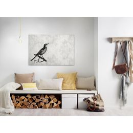 A.S. Cr&eacute;ation Leinwandbild &raquo;sketchpad 4&laquo; Kunst V&ouml;gel 1 Stk. tlg. Schwarz-Wei&szlig; Zeichnung Vogel Keilrahmen Leinwand-Bild Wohnzimmer Wand grau Massivholz, Stahl B/H/T: