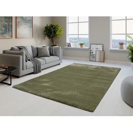 Teppich, H:20mm &Oslash;:160cm, gr&uuml;n, OCI DIE TEPPICHMARKE, Obermaterial: 100% Polypropylen, Wohnzimmer, Teppiche, "KOMFORT, auch als L&auml;ufer und in Rund",