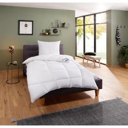 f.a.n. fan Microfaserbettdecke &raquo;Komfort Plus Warm, Bettdecken f&uuml;r den Winter, Made in Germany, Decke&laquo; extrawarm F&uuml;llung 100% Polyester 1 Stk. tlg. Extrawarm 