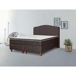 Inosign Boxspringbett &raquo;Jalma&laquo; F&uuml;&szlig;e aus massiver Birke ; Inkl. Topper braun 100% Polyester Samtvelours PUR-Schaum-Topper, Liegefl&auml;che B/L: 140cm x 