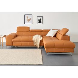 COTTA Ecksofa &raquo;Chef L-Form&laquo; mit Kopfteilverstellung, edle Metallkufen, optional Schlaffunktion orange Luxus-Microfaser (100% Polyester);Kunstleder 