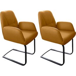 W.Schillig Freischwinger &raquo;ole&laquo; (Set) 2 Stk.2er- oder 4er-Set, Gestell in Schwarz pulverbeschichtet gelb Longlife Xtra-Leder Z69: Das feinnarbige, 