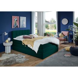 Home Affaire Boxspringbett &raquo;Fornoli&laquo; inkl. Topper und Bettkasten, H3 in zwei Matratzenarten blau Flachgewebe, Liegefl&auml;che B/L: 140cm x 200cm, Gewicht 