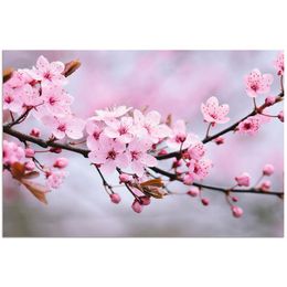 Artland Wandbild &raquo;Kirschbl&uuml;ten&laquo; Blumen 1 Stk. tlg. als Alubild, Leinwandbild, Poster in verschied. Gr&ouml;&szlig;en pink B/H/T: 60cm x 40cm, Alu-Dibond-Druck Blumen 