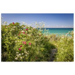 Artland Wandbild &raquo;Fr&uuml;hling an der K&uuml;ste in Ahrenshoop&laquo; 1 Stk. tlg. als Alubild, Leinwandbild, Poster, Wandaufkleber in verschied. Gr&ouml;&szlig;en gr&uuml;n B/H/T: 120cm x 