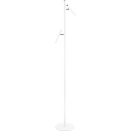 HELL h&ouml;llisch gutes Licht LED Stehlampe &raquo;STREAK&laquo; LED-Modul 1 Stk. Warmwei&szlig; Tastdimmer 2, &Oslash; 25cm H: 163cm, 1 Stk.