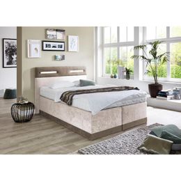 Westfalia Schlafkomfort Boxspringbett mit LED-Beleuchtung beige Bezug Obermatratze 100% Polyester, waschbar bis 60&deg;C;Bezug Unterbox und Kopfteil: Mikrofaservelours (100% 