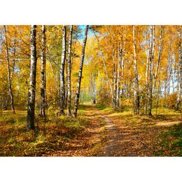 papermoon Fototapete &raquo;Autumn Forest&laquo; glatt bunt Vlies B/L: 5m x 2,8m, Bahnen: 10 Stk.