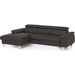 COTTA Ecksofa &raquo;Komaris L-Form, B: 244 cm&laquo; mit Kopfteilverstellung, optional Schlaffunktion, Bettkasten & Licht braun Microfaser PRIMABELLE (100% 
