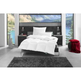 fan Daunenbettdecke &raquo;f.a.n. Canada&laquo; warm 1 Stk. tlg. wei&szlig; Bezug: 100% Baumwolle. F&uuml;llung: 90% Entendaune, 10% Entenfeder B/L: 220cm x 240cm, warm