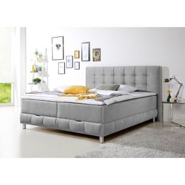 Home Affaire Boxbett &raquo;Vaasa&laquo; inkl. Bettkasten & Topper, XXL-Ausf&uuml;hrung, &Uuml;berl&auml;nge 220 cm silber Samtoptik, Liegefl&auml;che B/L: 160cm x 220cm, H2 + H2, 