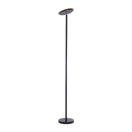 JUST LIGHT Stehlampe &raquo;HANS&laquo; LED-Board 1 Stk. Warmwei&szlig; LED, dimmbar &uuml;ber Touchdimmer schwarz 1, &Oslash; 30cm H: 181cm, 1 Stk.