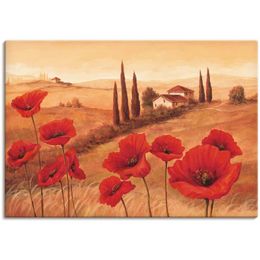 Artland Wandbild &raquo;Mohnblumen in der Toskana&laquo; Europa 1 Stk. tlg. als Leinwandbild, Poster in verschied. Gr&ouml;&szlig;en braun Leinwand B/H/T: 100cm x 70cm, Leinwandbild