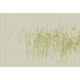 Livingwalls living walls Fototapete &raquo;Walls by Patel At The Pond&laquo; glatt Vlies, Wand gr&uuml;n Vlies B/L: 4m x 2,7m