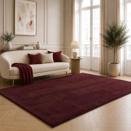 the carpet Teppich &raquo;kuschelig & Super Soft, Anti-Rutsch Unterseite,&laquo; rechteckig 16 mm H&ouml;he Waschbar bis 30 Grad, Felloptik, Wohnzimmer Teppich, 