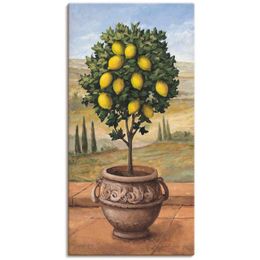 Artland Leinwandbild &raquo;Zitronenbaum&laquo; B&auml;ume 1 Stk. tlg. auf Holzrahmen gespannt beige Leinwand B/H/T: 50cm x 100cm, Leinwandbild B&auml;ume Hochformat, 1 Stk.