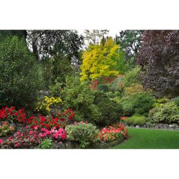papermoon Fototapete &raquo;Fluss in Garten&laquo; bunt Vlies B/L: 2m x 1,49m, Bahnen: 4 Stk.