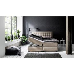 ATLANTIC HOME COLLECTION Boxbett &raquo;LILO&laquo; inkl. Bettkasten und Topper braun Polyester, Liegefl&auml;che B/L: 160cm x 200cm, H2 + H2, 7-Zonen-
