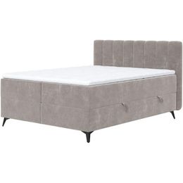 COTTA Boxbett &raquo;Vicky inkl. Bettkasten&laquo; erh&auml;ltlich in den Breiten 160x200cm & 180x200cm 94% POLYESTER (PES);6%POLYAMID (PA) Flachgewebe inkl. Topper, 