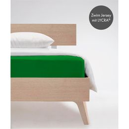 Fleuresse Spannbettlaken &raquo;Comfort&laquo; langlebig & b&uuml;gelfrei,Perfekte Passform durch POWER-STRETCH gr&uuml;n Jersey-Elasthan, Obermaterial: 96% Baumwolle, 4% 