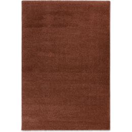 Sch&ouml;ner Wohnen Kollektion SCH&Ouml;NER WOHNEN-Kollektion Teppich &raquo;Pure 250&laquo; rechteckig 21 mm H&ouml;he Indoor, dichter robuster Teppich mit leichtem Glanz, Oeko-Tex braun Polypropylen B 
