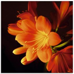 Artland Glasbild &raquo;Clivie in leuchtendem Orange&laquo; Blumen 1 Stk. tlg. in verschiedenen Gr&ouml;&szlig;en orange B/H/T: 30cm x 30cm, Glasbild Blumen quadratisch, 1 Stk.