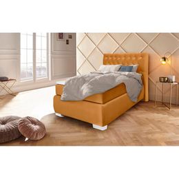 LEONIQUE Boxspringbett &raquo;Rumba&laquo; Taschenfederkern-Matratze in H&auml;rtegrad 3, in 4 Breiten, incl. Topper gold Samtoptik (100% Polyester) Liegefl&auml;che B/L: 90cm x 