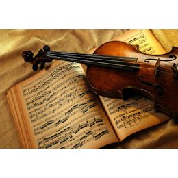 papermoon Fototapete &raquo;VIOLINE-MUSIK KUNST RETRO VINTAGE GEIGE INSTRUMENT STEG&laquo; bunt Vlies B/L: 4m x 2,6m, Bahnen: 8 Stk.