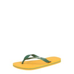 Havaianas Beach & Pool Shoes 'BRASIL' female size 47/48 Curry / Fir / White
