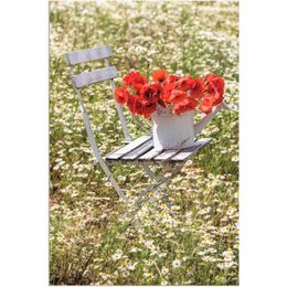 Artland Alu-Dibond-Druck &raquo;Stuhl im Kamille Feld mit Mohnbl&uuml;ten&laquo; Blumenwiese 1 Stk. tlg. f&uuml;r Innen- und Au&szlig;enbereich geeignet, Outdoorbild wei&szlig; B/H/T: 20cm x 