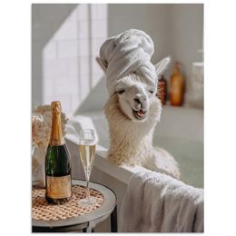 Artland Wandbild &raquo;Lama in der Badewanne&laquo; 1 Stk. tlg. als Alubild, Leinwandbild, Poster, Wandaufkleber in verschied. Gr&ouml;&szlig;en Alu Dibond B/H/T: 45cm x 60cm, Alu-