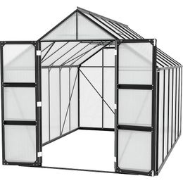 Vitavia Gew&auml;chshaus &raquo;Domus 9900&laquo; mit Doppelschwingt&uuml;ren und bodentiefer T&uuml;rschwelle, 4 mm Hohlkammer schwarz B/H/T: 257cm x 253,9cm x 387cm