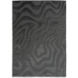 Sch&ouml;ner Wohnen Kollektion SCH&Ouml;NER WOHNEN-Kollektion Teppich &raquo;Blaze 251&laquo; rechteckig 28 mm H&ouml;he Indoor, pflegeleicht, verschiedene Formen, Hoch Tief Struktur Polyester B : 200cm 