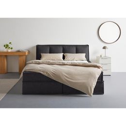 LeGer Home by Lena Gercke Boxspringbett &raquo;Addyson&laquo; H&auml;rtegrade H2, H3 und H4 w&auml;hlbar, Boxspringbett inkl. Topper, 2 Matratzen braun 100% Polyester 