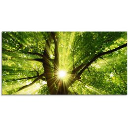 Artland Glasbild &raquo;Sonne strahlt explosiv durch den Baum&laquo; B&auml;ume 1 Stk. tlg. in verschiedenen Gr&ouml;&szlig;en gr&uuml;n B/H/T: 60cm x 30cm, Glasbild B&auml;ume, 1 Stk.