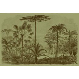 Livingwalls living walls Fototapete &raquo;Walls by Patel Jurassic 1&laquo; glatt Vlies, Wand, Schr&auml;ge braun Vlies B/L: 4m x 2,7m