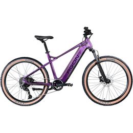 agon Unisex agon &raquo;Alpha&laquo; 10 Gang Shimano Deore SGS T6000 Schaltwerk Kettenschaltung Heckmotor 250 W Pedelec, Elektrofahrrad f&uuml;r Damen u. Herren, MTB 