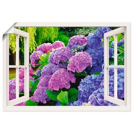 Artland Poster &raquo;Fensterblick Hortensien im Garten&laquo; Blumen 1 Stk. tlg. ohne Rahmen lila B/H/T: 100cm x 70cm, Poster Blumen Querformat, 1 Stk.