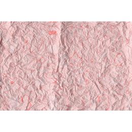 ARCHITECTS PAPER Fototapete &raquo;Atelier 47 Vibes on Paper 1&laquo; einfarbig glatt Vlies, Wand, Schr&auml;ge, Decke pink Vlies B/L: 4m x 2,7m