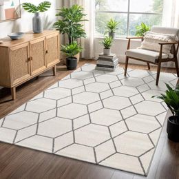 Sanat Teppich &raquo;Trellis, auch als L&auml;ufer und Rund&laquo; rechteckig 10 mm H&ouml;he Kurzflor, skandi, boho, gro&szlig;e Farbauswahl, alle R&auml;ume Kunstfaser B : 80cm 1 Stk., 