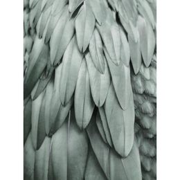 Livingwalls living walls Fototapete &raquo;ARTist Feathers&laquo; Vlies, Wand, Schr&auml;ge gr&uuml;n Vlies B/L: 2m x 2,7m