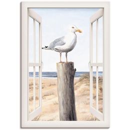 Artland Leinwandbild &raquo;M&ouml;we Fensterblick&laquo; Vogelbilder 1 Stk. tlg. auf Holzrahmen gespannt wei&szlig; Leinwand B/H/T: 50cm x 70cm, Leinwandbild Vogelbilder Hochformat