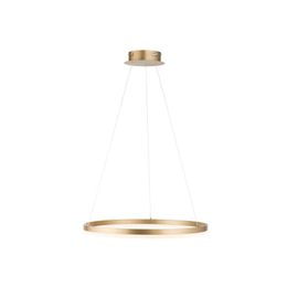 Paul Neuhaus Pendelleuchte &raquo;TITUS&laquo; LED-Board 1 Stk. Warmwei&szlig; LED, dimmbar, Simply Dim, Memory, nach Trennung vom Netz gold 1, &Oslash; 60cm, 1 Stk.