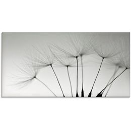 Artland Glasbild &raquo;Pusteblumen-Samen I&laquo; Blumen 1 Stk. tlg. in verschiedenen Gr&ouml;&szlig;en grau B/H/T: 60cm x 30cm, Glasbild Blumen, 1 Stk.