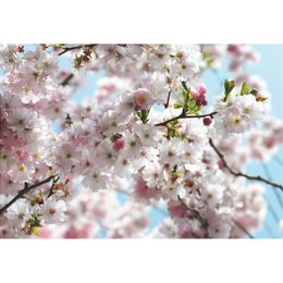 Komar Fototapete &raquo;Spring - Gr&ouml;&szlig;e 368 x 254 cm&laquo; bedruckt glatt Wohnzimmer, Schlafzimmer bunt B/L: 368m x 254m