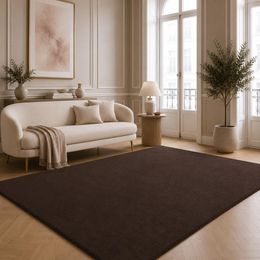 Teppich the carpet, B:300cm H:16mm L:400cm, braun, Polyester, Wohnzimmer, Teppiche, "kuschelig & Super Soft, Anti-Rutsch Unterseite", Waschbar bis 30