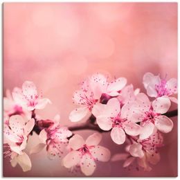 Artland Leinwandbild &raquo;Kirschbl&uuml;ten&laquo; Blumen 1 Stk. tlg. auf Holzrahmen gespannt pink B/H/T: 70cm x 70cm, Leinwandbild Blumen quadratisch, 1 Stk.