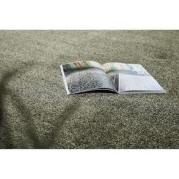 ANDIAMO Teppichboden &raquo;Portland, Velours, Gesamth&ouml;he 11 mm, Made in Netherlands&laquo; rechteckig Uni Farben, Breite 400 cm, Wohnzimmer, strapazierf&auml;hig, 