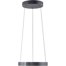 Neuhaus PURE LED Pendelleuchte &raquo;PURE E-Clipse&laquo; LED-Board 1 Stk. warmwei&szlig; - kaltwei&szlig; e-LIFT -Funktion, CCT, dimmbar &uuml;ber Fernbed&iacute;enung 2, &Oslash; 50cm H: 